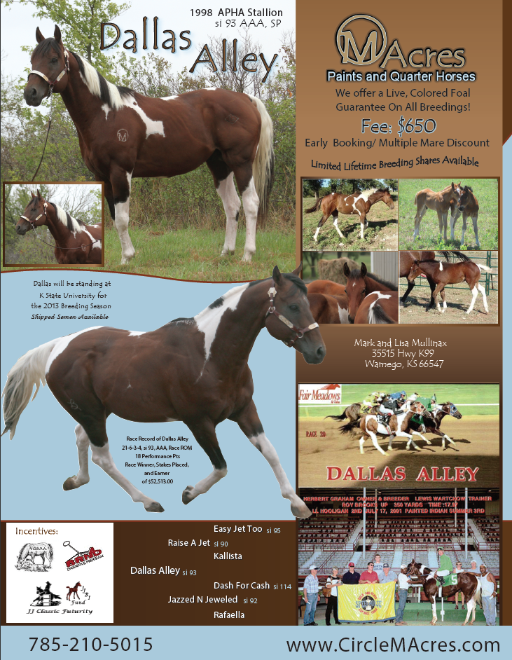 Equine Flyer Template download free - animationturbabit